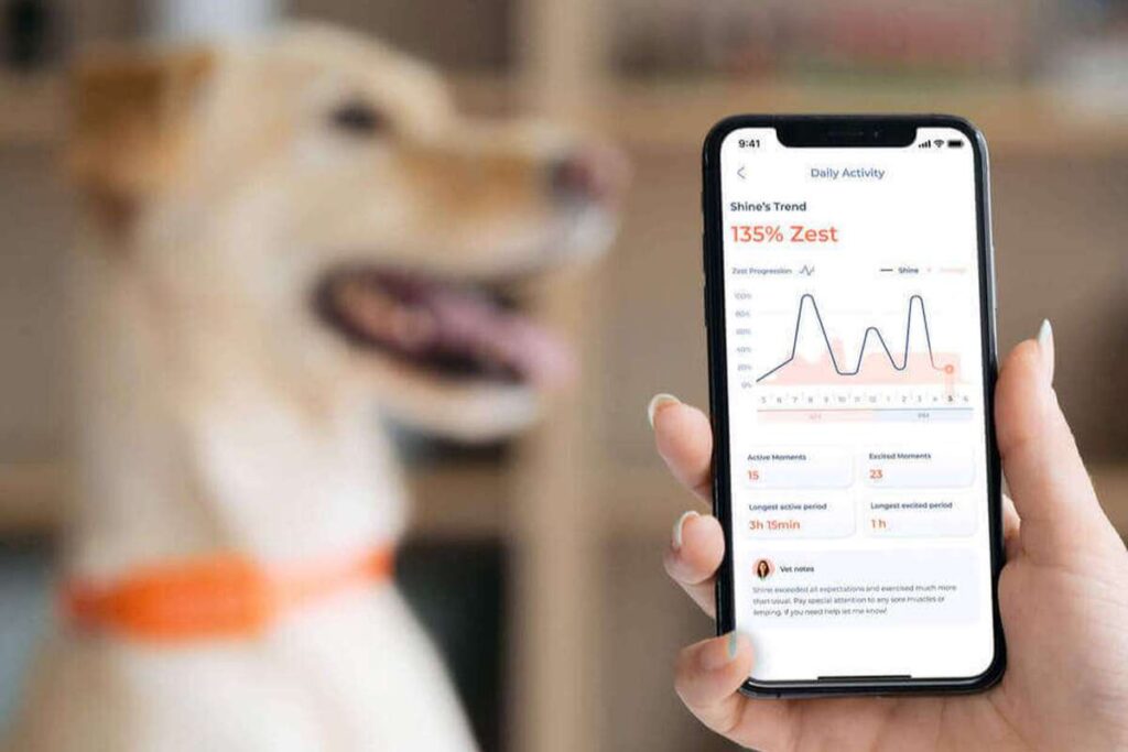 How Machine Vision Can Help Revolutionize Pet Care via Automatic ...
